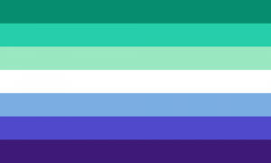 The LGBTQIA+ community – Congleton Pride