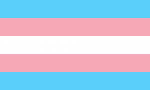 Congleton Pride Mythbuster: Trans People – Congleton Pride